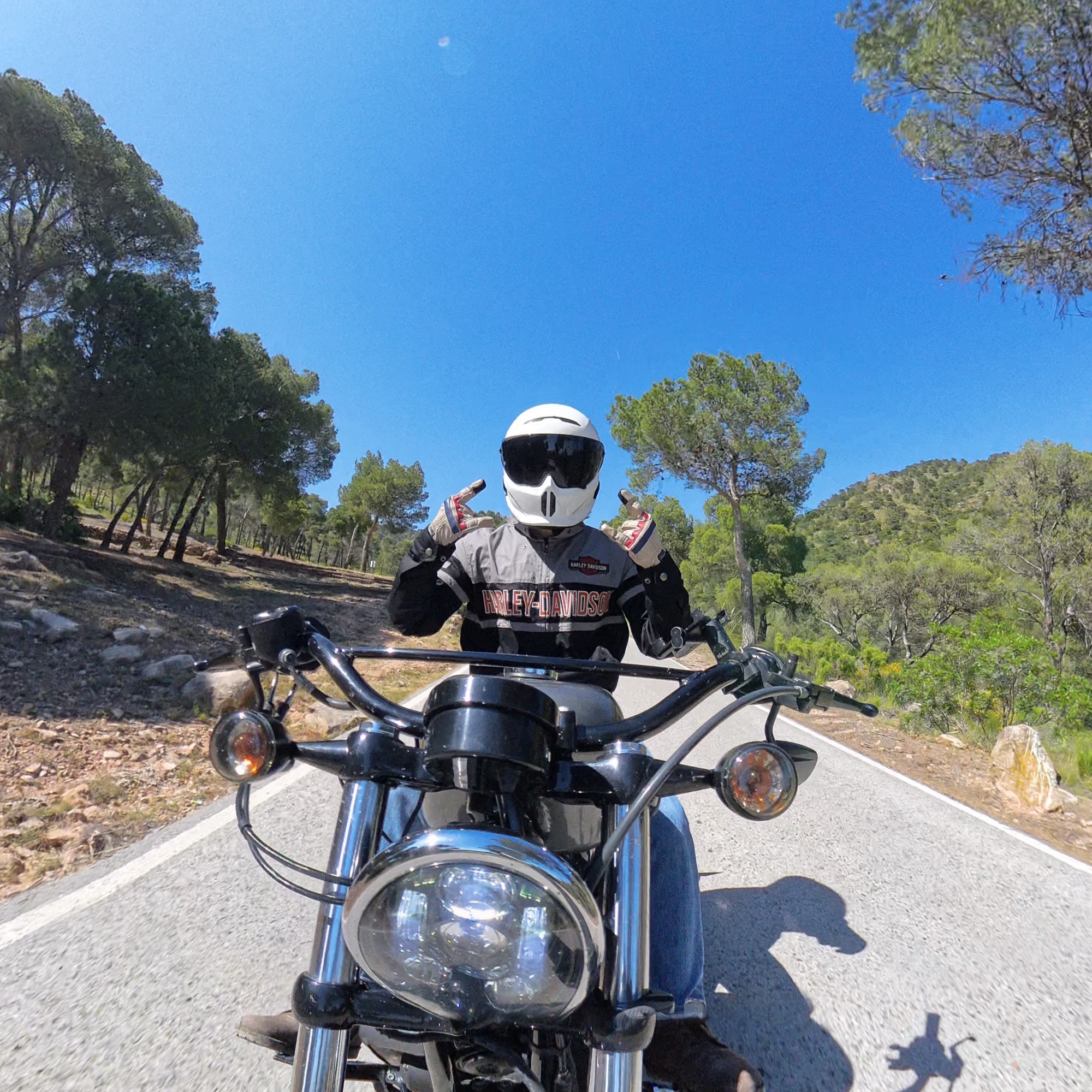 Pedro Miras - Web Developer Portfolio